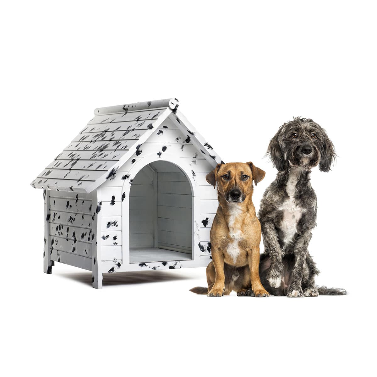 Psí boudy | Zateplené dřevěné boudy pro vašeho psa | Mistr domu